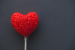 The Heart Symbol: A 2,500-Year History of Love, Death, and the World's ...